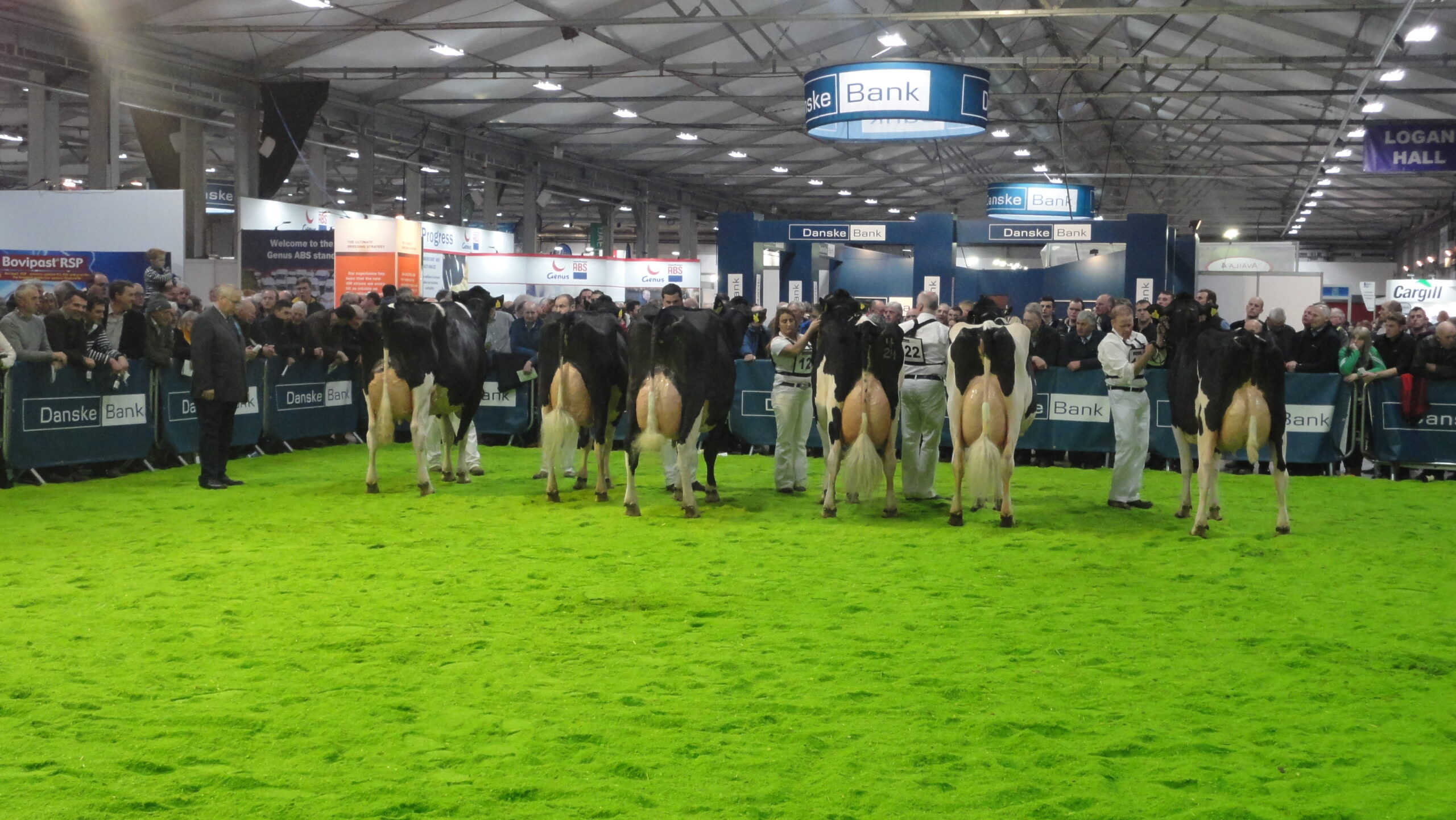 Diamond Awards 2017 - IHFA