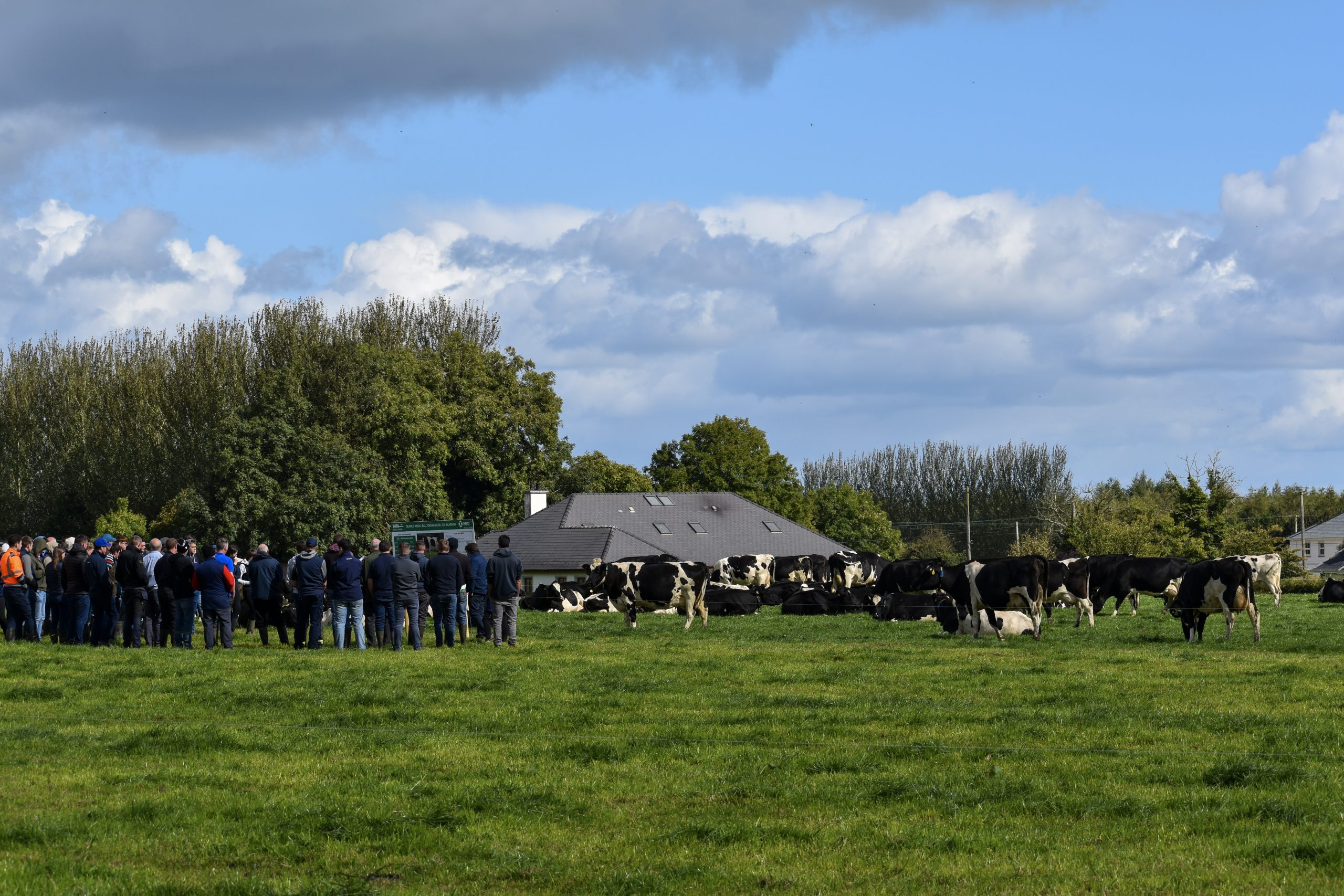 North Eastern - IHFA