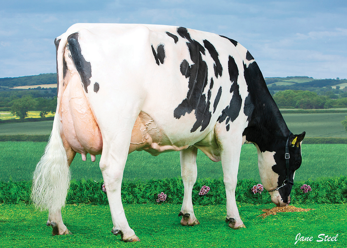 Best of the Best Spring 2021 - IHFA