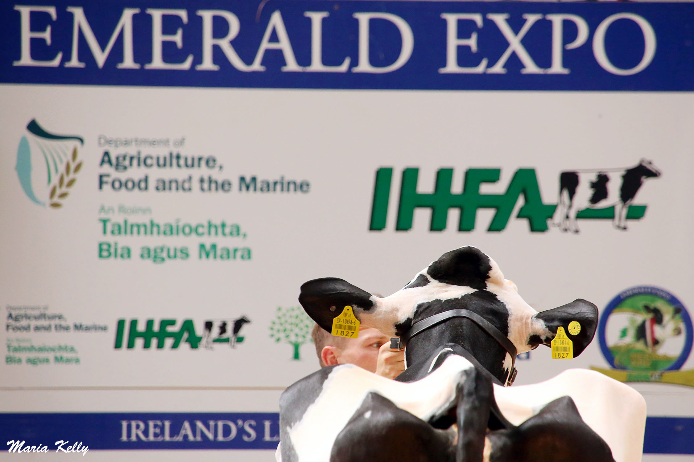 Emerald Expo - IHFA