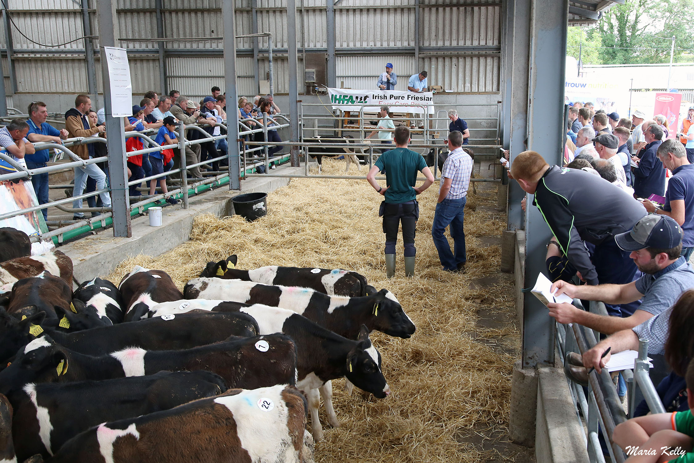 Sales Reports - IHFA