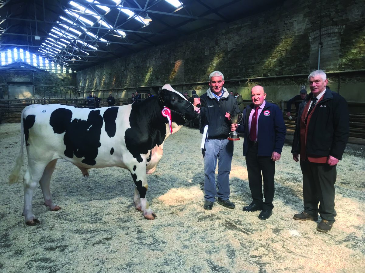 Events from April 17 – March 14 – IHFA