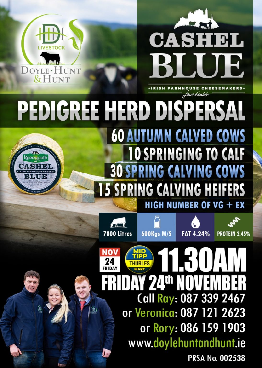 Cashel Blue Herd Dispersal Sale - IHFA