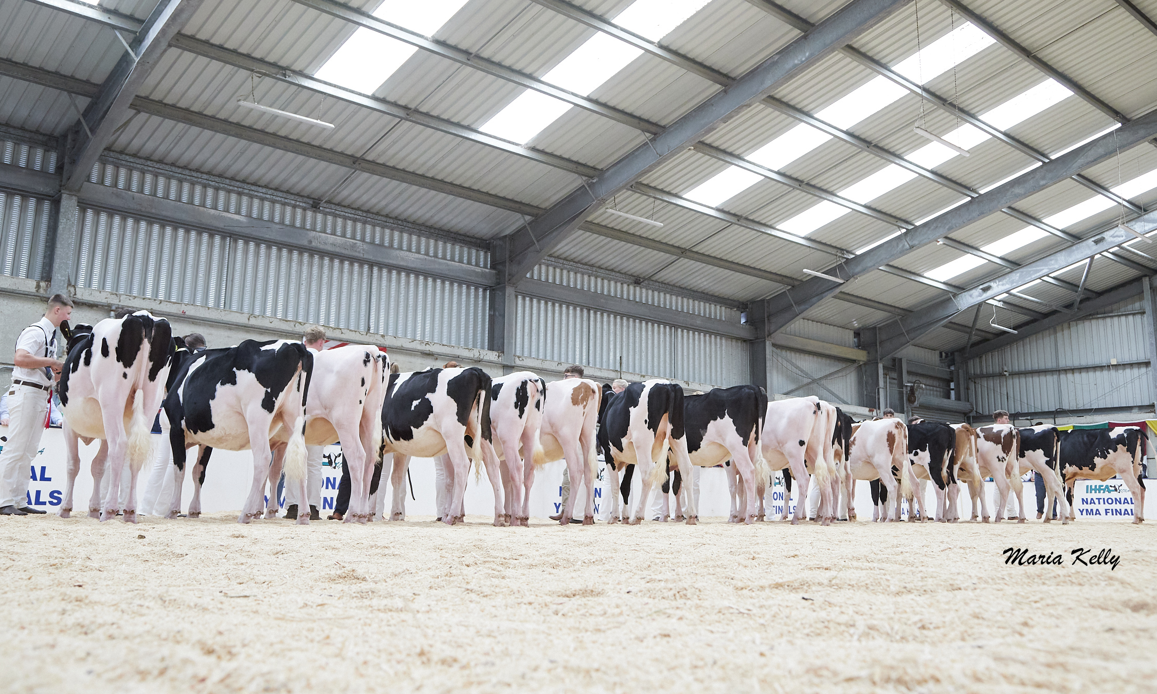 FBD National YMA Finals 2024 - IHFA