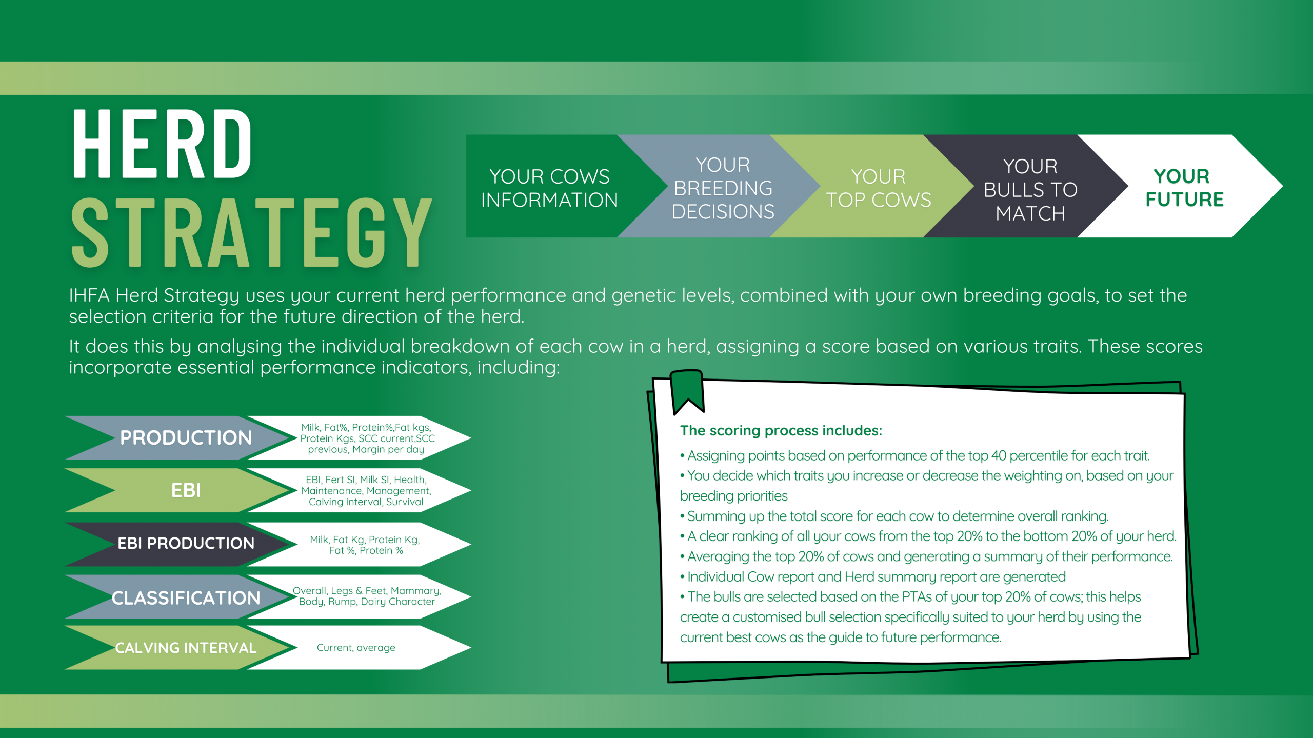 Herd Strategy - IHFA